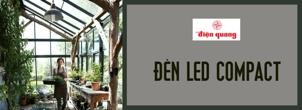 LED compact Điện Quang - Chất lượng - Uy tín - An Toàn – Điện Quang Shop