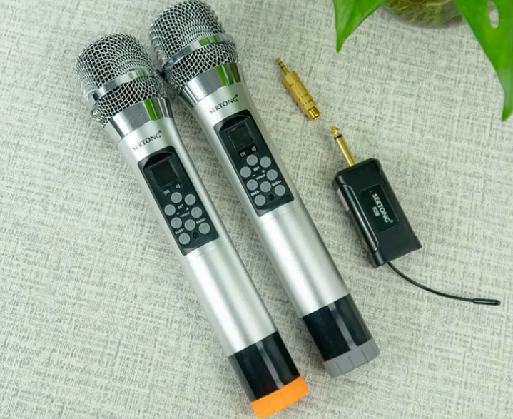 Micro Echo Là Gì? Lợi Ích Khi Sử Dụng Micro Echo Trong Karaoke – VIDIA