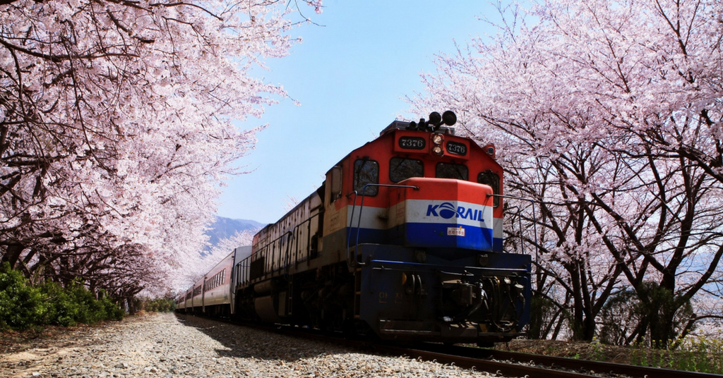 Những điều khiến Nhật Bản “mát mặt” với bạn bè thế giới – DG Nozomi