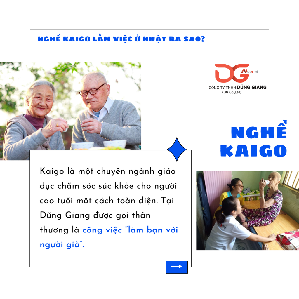 Tìm hiểu kaigo là gì và những dịch vụ liên quan