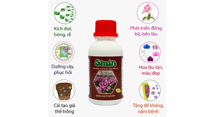 Chế phẩm sinh học SMIN – Trà Lan Kiếm Tiên Gia