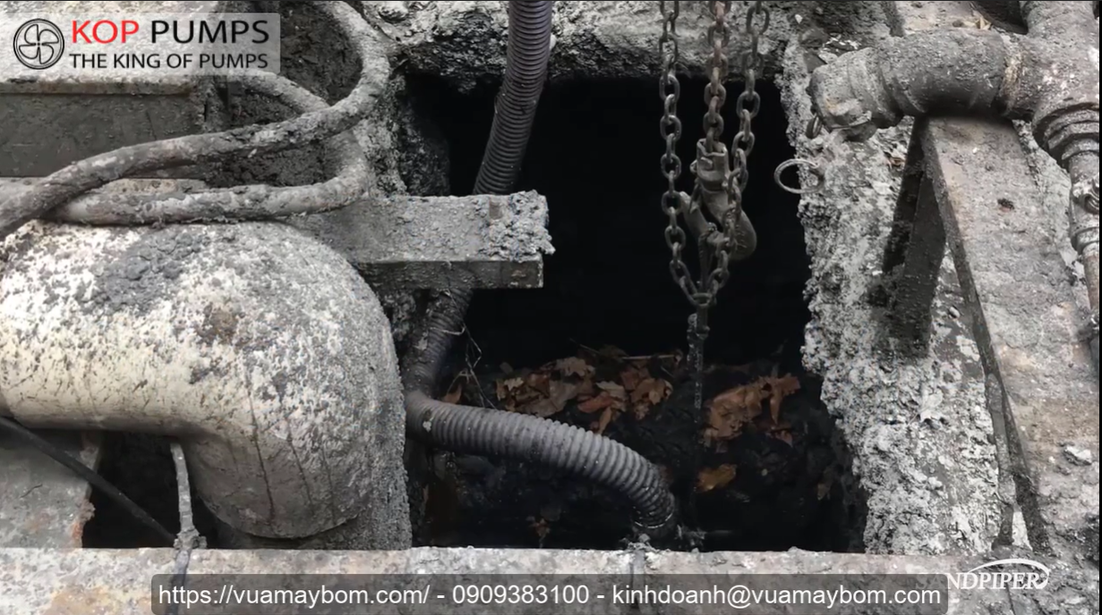 Sandpiper Heavy Duty Flap Valve Pump – Vua Máy Bơm