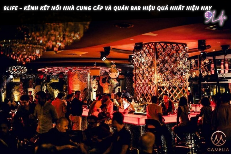 9Life – Kênh kết nối nhà cung cấp và quán bar hiệu quả nhất hiện nay ...