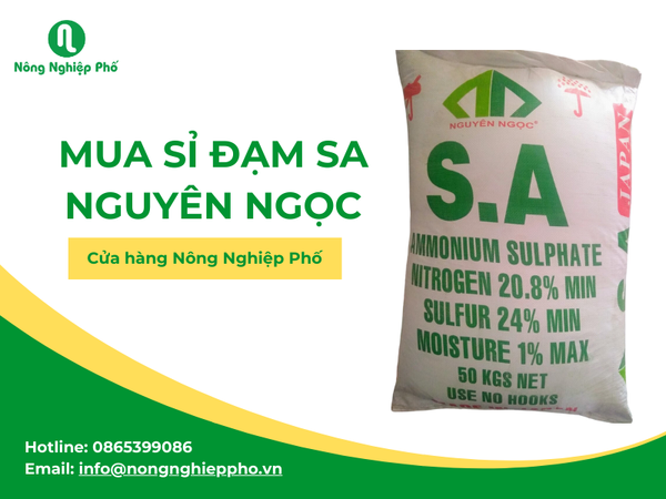 Cung cấp đạm sa Nguyên Ngọc sỉ, uy tín, chất lượng cao