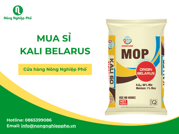 Nguồn cung phân Kali Belarus sỉ dồi dào, đáp ứng mọi đơn hàng