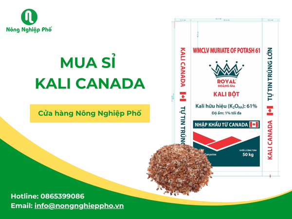 Nguồn cung Kali Canada sỉ uy tín, giá tốt, hỗ trợ giao hàng toàn quốc