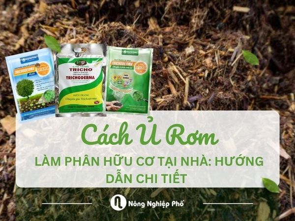 Cách ủ rơm làm phân hữu cơ tại nhà: Hướng dẫn chi tiết