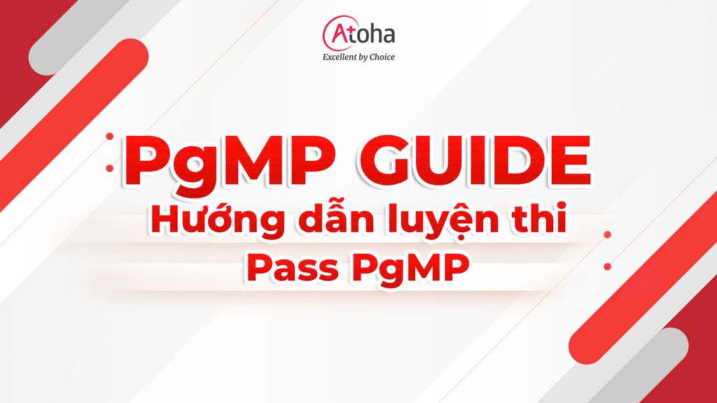 PgMP GUIDE - HƯỚNG DẪN LUYỆN THI PASS PgMP ON THE FIRST TRY TOÀN DIỆN – Atoha