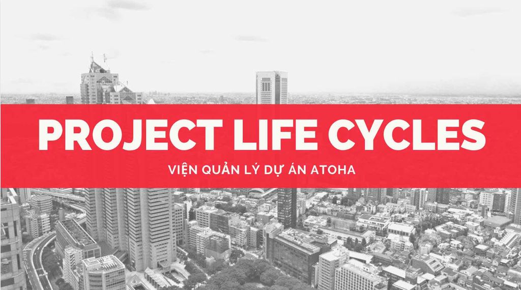 Project life cycles: Predictive, Iterative, Incremental, Agile, Hybrid ...