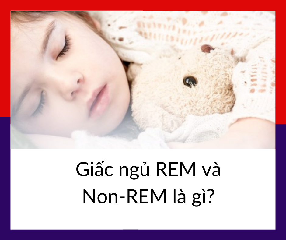 Giấc ngủ REM và Non-REM là gì?| Wellbeing