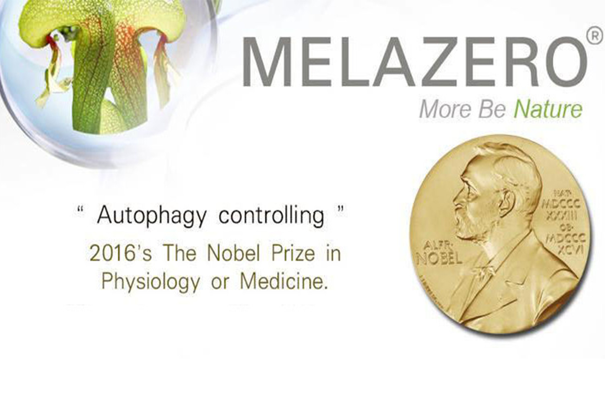 Melazero Trị Nám Mạnh Mẽ Bằng Cơ Chế Autophagy – New York Skinlab x bsdl