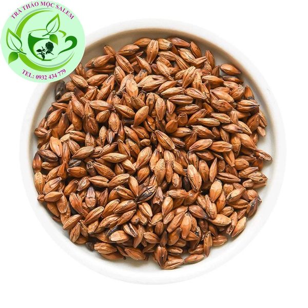 Trà lúa mạch rang Nhật Bản – Trà thảo mộc quý hiếm - Salem Tea Shop