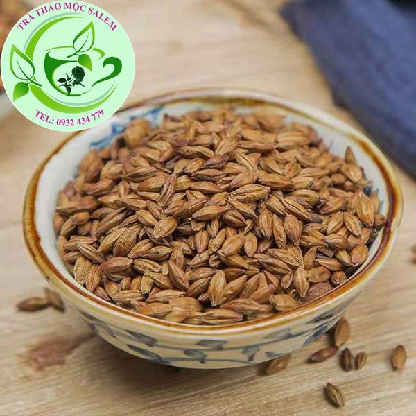 Trà lúa mạch rang Nhật Bản – Trà thảo mộc quý hiếm - Salem Tea Shop