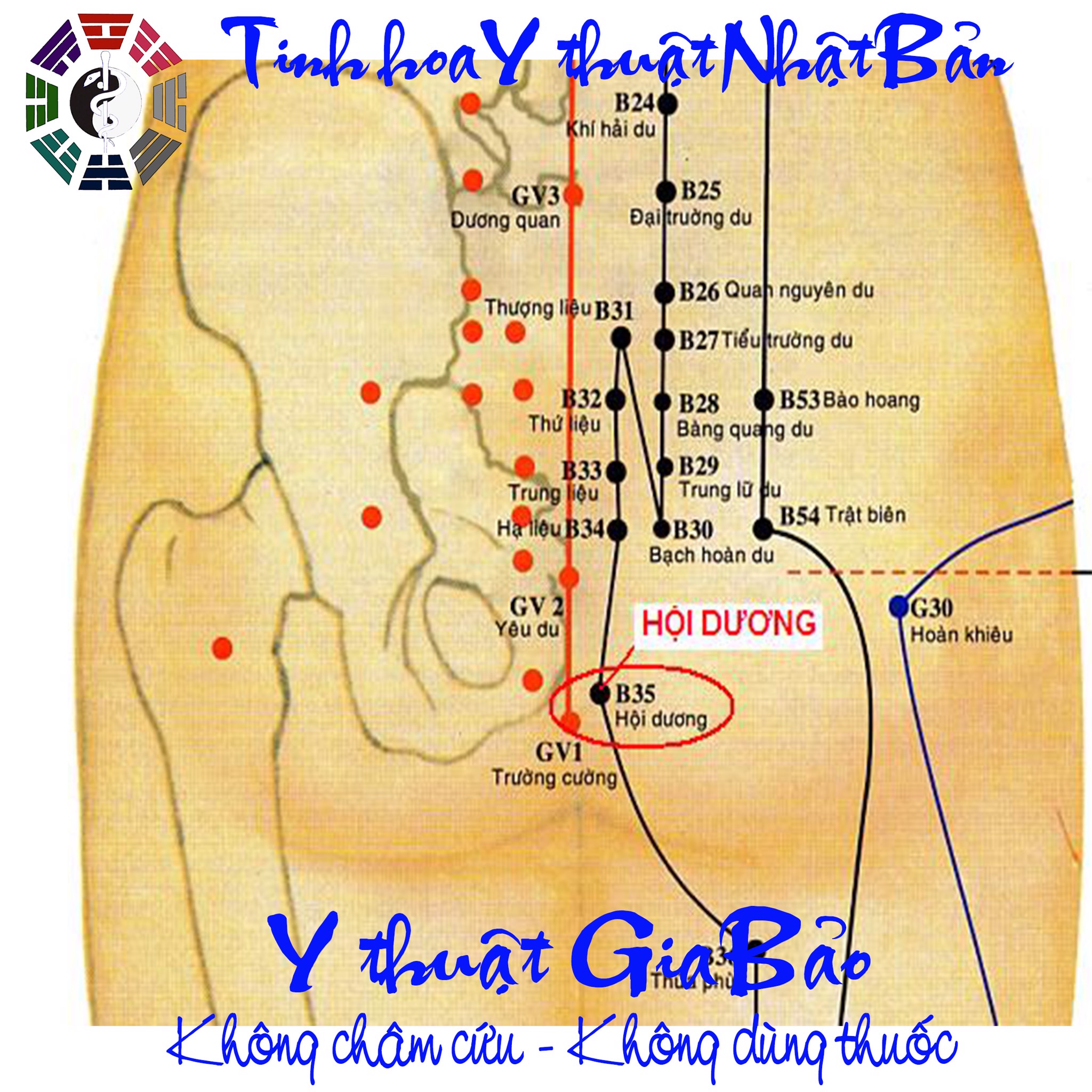 Kiến Thức Huyệt Tagged Huyệt âm Bao Huyệt Âm Cốc Huyệt Âm Đô 6814