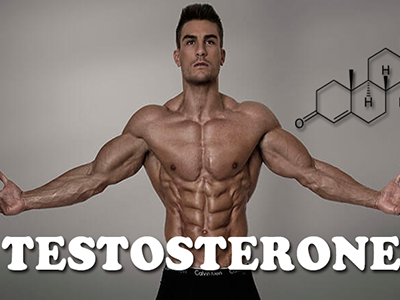 TESTOSTERON VÀ NHỮNG ĐIỀU GYMER CẦN BIẾT – Ecofit Center 73 Vạn Bảo-Kim ...