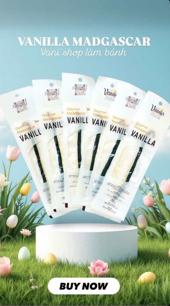 Vanilla set 1 quả – Vanilla shop