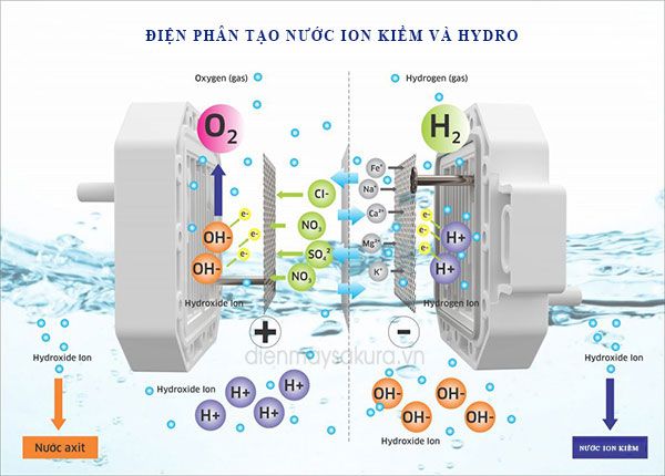 Sự khác biệt giữa nước ion kiềm và nước hydro là gì? | Hydro cho sức khỏe