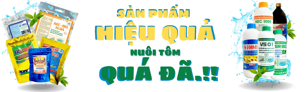 Thuốc thủy sản - Hiệu quả và Thân thiện – ÂU MỸ AEC