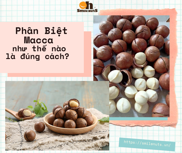 Ăn Macca nhiều nhưng bạn đã biết cách phân biệt hay chưa? – Smile Nuts ...