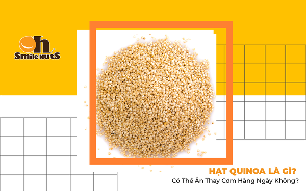 Hạt Quinoa Là Gì? Có Thể Ăn Thay Cơm Hàng Ngày Không? – Smile Nuts ...