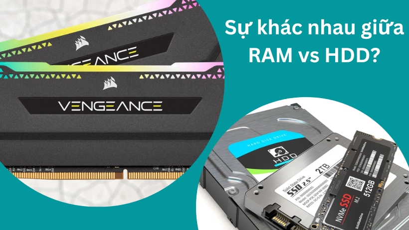 Điểm Khác Nhau Giữa Ram Và Ổ Hdd Là Gì Và Cách Phân Biệt Chi Tiết?