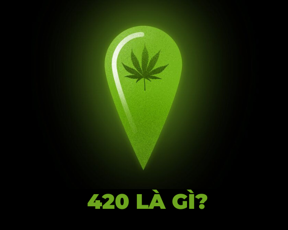 420 là gì? Tìm hiểu ý nghĩa của con số 420 – Foglia