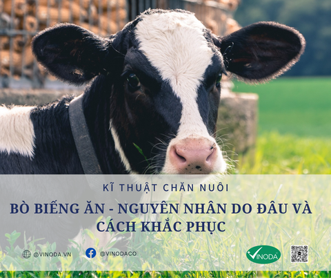 Kỹ thuật Chăn nuôi – Tagged "heo mau lớn, mẹo nuôi heo, Heo giống ...