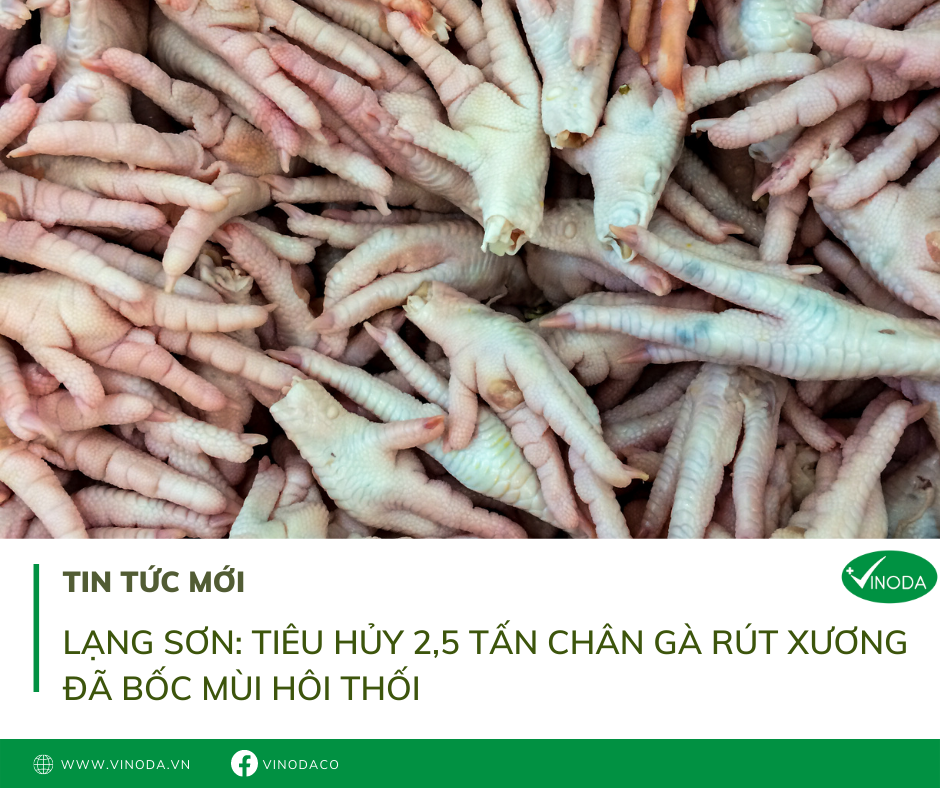 Lạng Sơn: Tiêu hủy 2,5 tấn chân gà rút xương đã bốc mùi hôi thối – Công ...