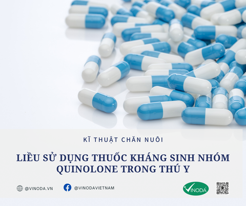 Kỹ thuật Chăn nuôi – Tagged "heo mau lớn, mẹo nuôi heo, Heo giống ...