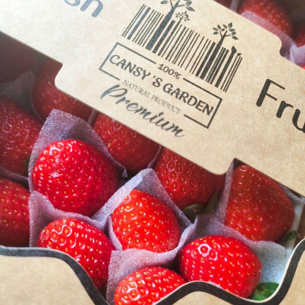 Consuming Fresh Produce – Cansy's Garden