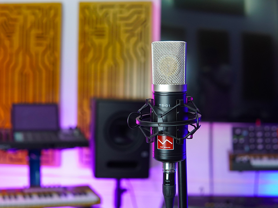 Micro thu âm TOP SOUND TS01 - Microphone thu âm livestream TS-01