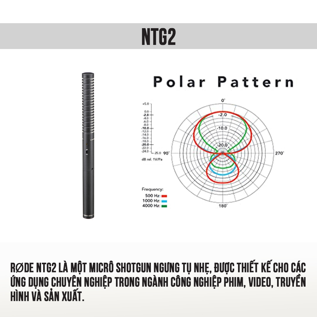 Micro thu âm Shotgun Rode NTG2 - Microphone Shotgun Rode - Pustudio.vn