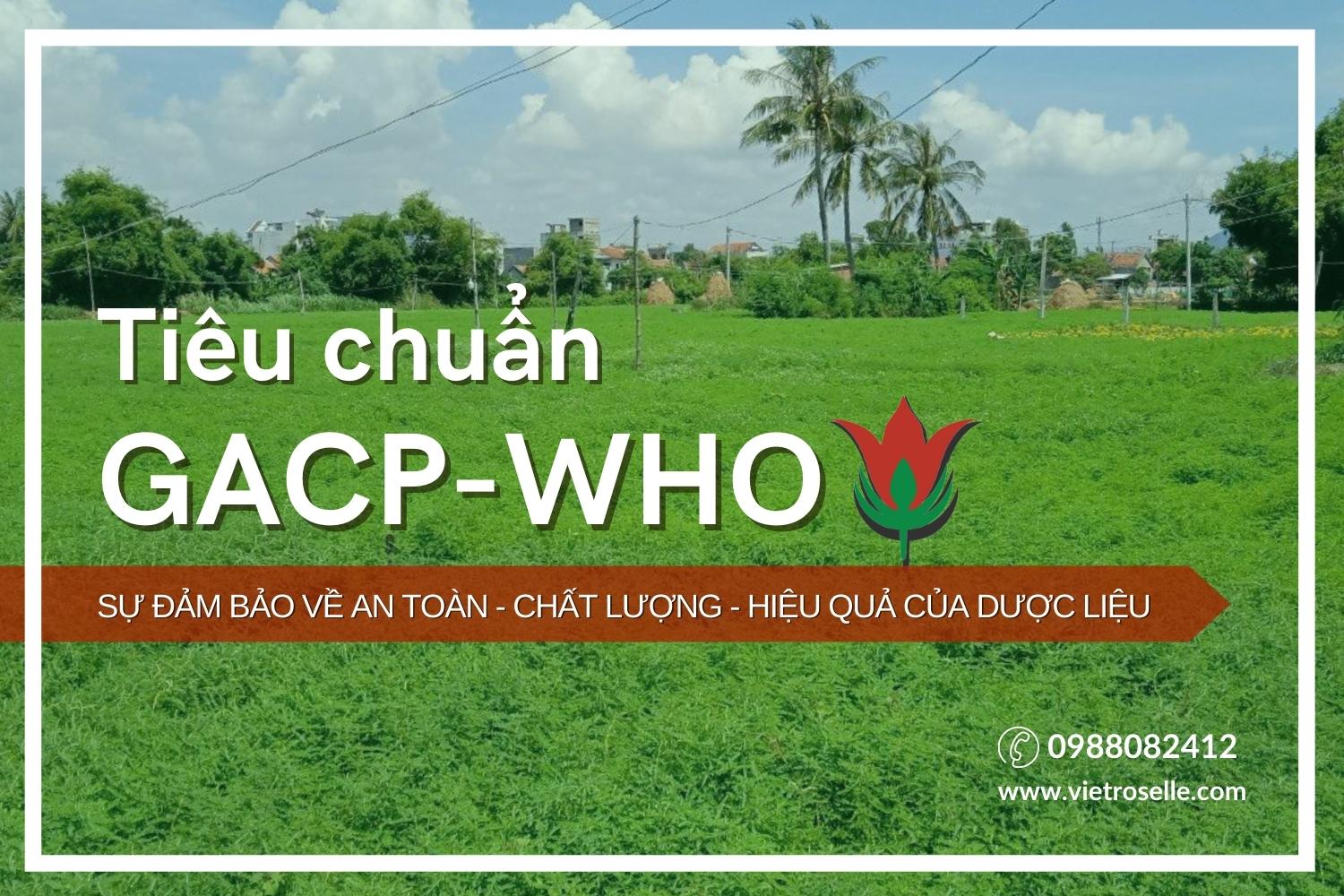 GACP LÀ GÌ? VÙNG TRỒNG ĐẠT TIÊU CHUẨN GACP-WHO – Công Ty TNHH SX TM ...