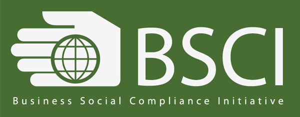 BSCI CERTIFICATION – ENHANCED SOCIAL RESPONSIBILITY FOR SD WOODEN TOYS ...