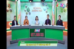 123 Farm - Nông trại xanh - Cuộc sống xanh – 123 Farm VN