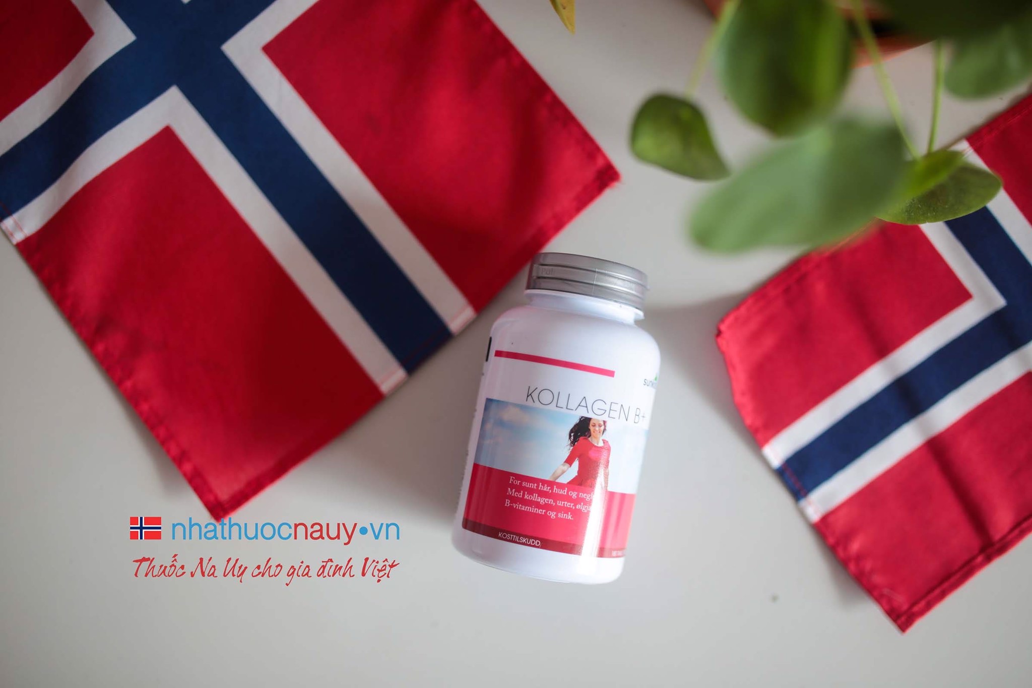 Sản phẩm chăm sóc sức khỏe từ Na Uy – nhathuocnauy.vn