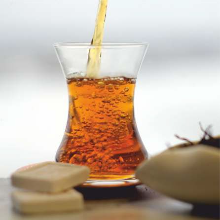 SNOW SHAN TEA VIETNAM IN RUSSIA MAGAZINE – Shan tea – teatrade