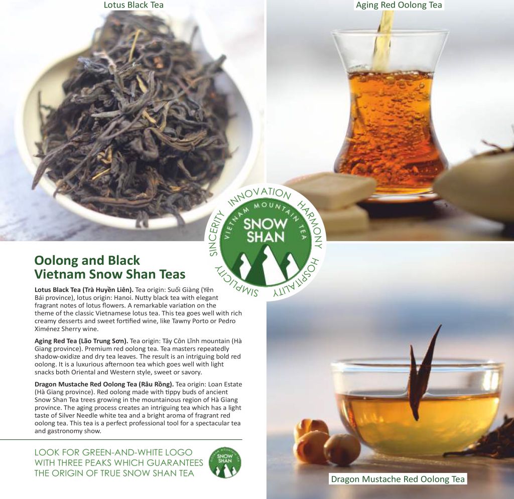 CHÈ SHAN TUYẾT VIỆT NAM TRÊN TẠP CHÍ MASTER TALK - NGA – Shan tea ...