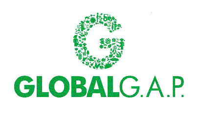 CHỨNG NHẬN GLOBAL G.A.P – VSON Store