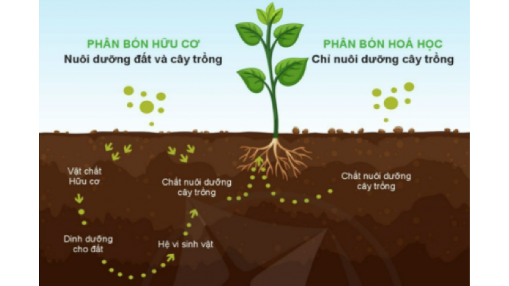 CÁCH TRỘN ĐẤT VÀ CẢI TẠO ĐẤT TRỒNG CÂY HIỆU QỦA VỚI MỌI LOẠI CÂY TRỒNG ...