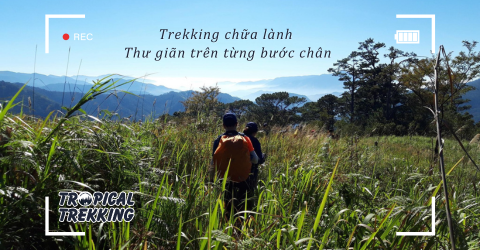 WELLNESS TREKKING – TRÀO LƯU DU LỊCH MỚI NỔI CỦA GIỚI TRẺ VIỆT ...