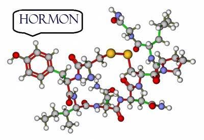 Tìm hiểu về hormone | CÔNG TY CỔ PHẦN Y TẾ VIP12