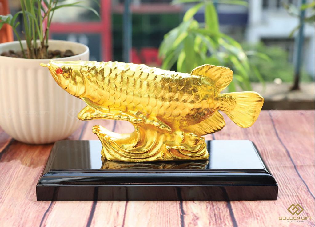 Video chi tiết về Tượng cá rồng phong thủy (Kim long) mạ vàng 24K ...
