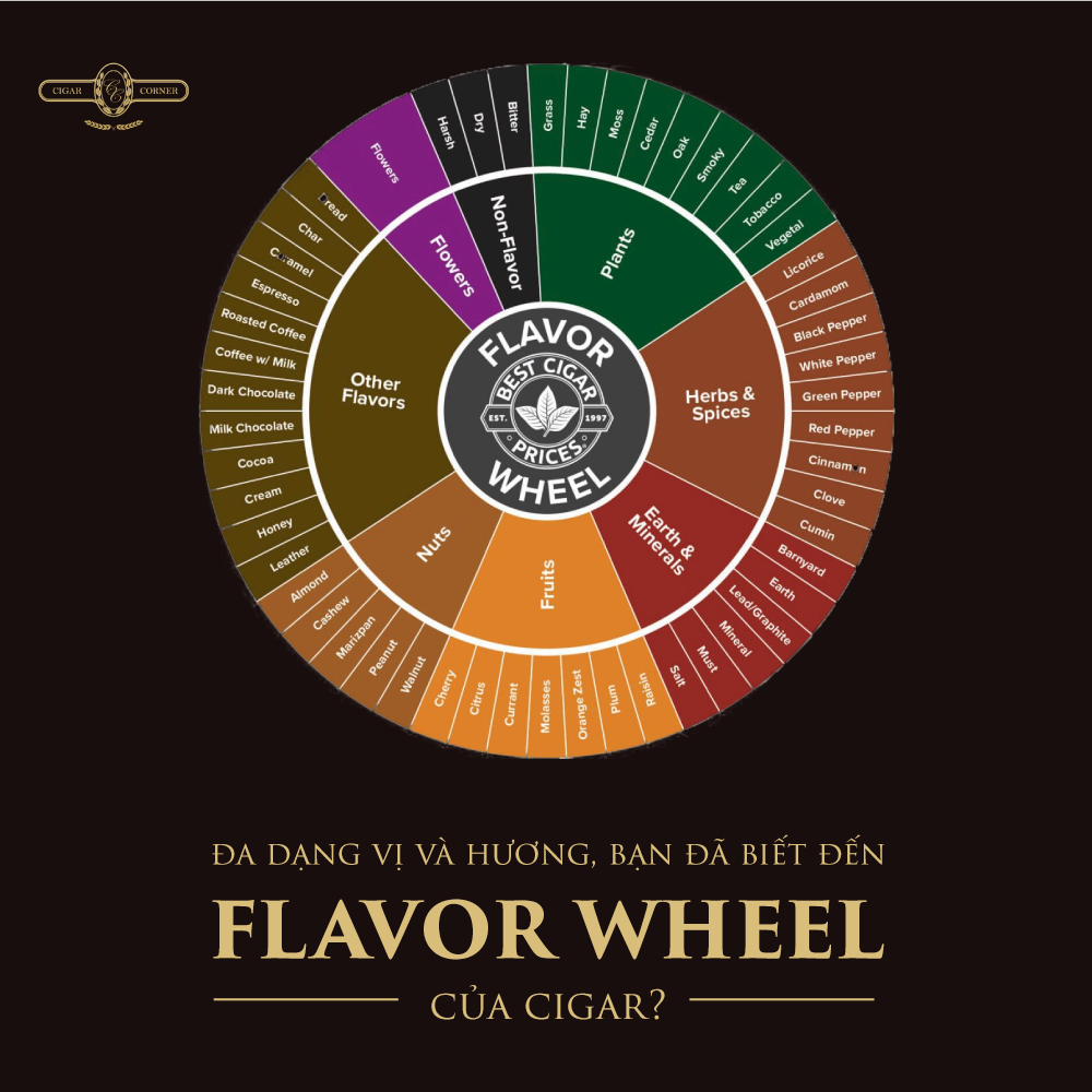 ĐA DẠNG VỊ VÀ HƯƠNG, BẠN ĐÃ BIẾT ĐẾN 𝐅𝐥𝐚𝐯𝐨𝐫 𝐖𝐡𝐞𝐞𝐥 CỦA CIGAR – Cigar Corner