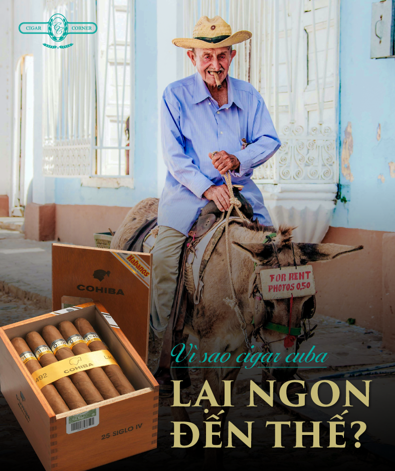 VÌ SAO CIGAR CUBA LẠI NGON ĐẾN THẾ? – Cigar Corner