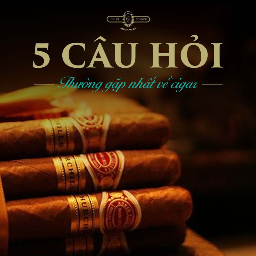 5 CÂU HỎI THƯỜNG GẶP NHẤT VỀ CIGAR – Cigar Corner
