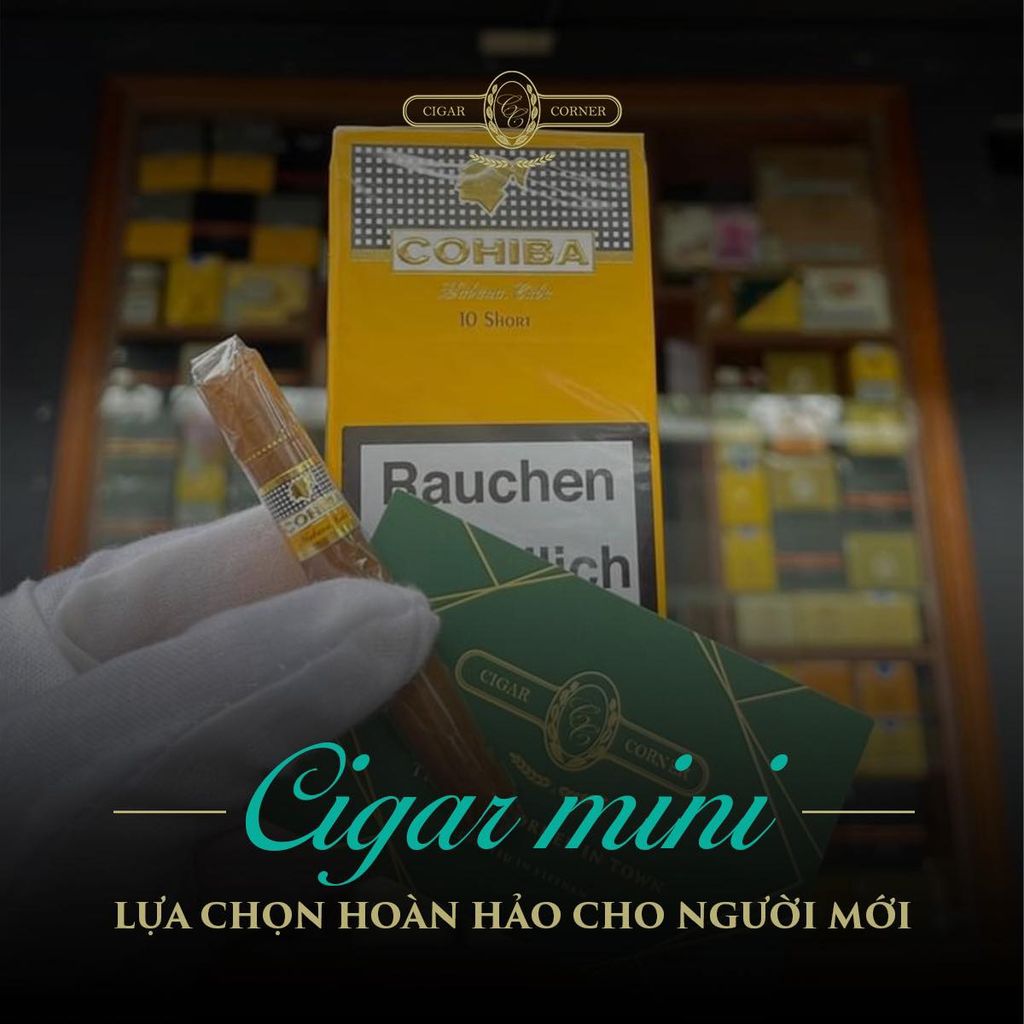 CIGAR MINI - LỰA CHỌN HOÀN HẢO CHO NGƯỜI MỚI – Cigar Corner