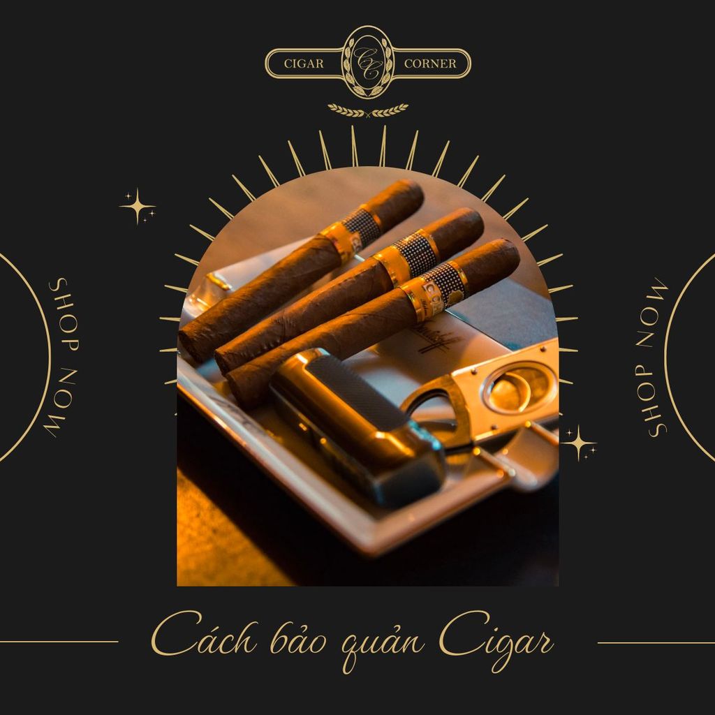 "BẬT MÍ" CÁCH BẢO QUẢN CIGAR VỪA THƠM VỪA NGON – Cigar Corner