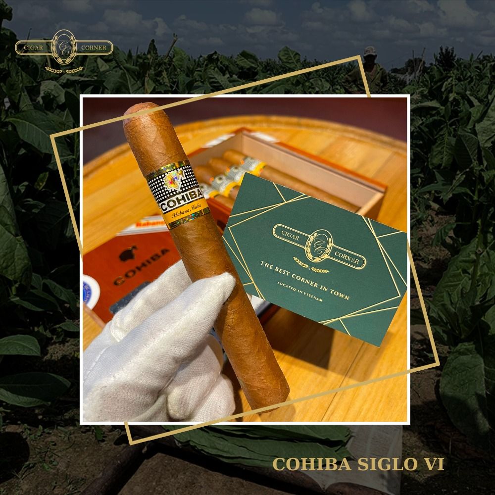 COHIBA SIGLO VI - Trải nghiệm không thể quên – Cigar Corner