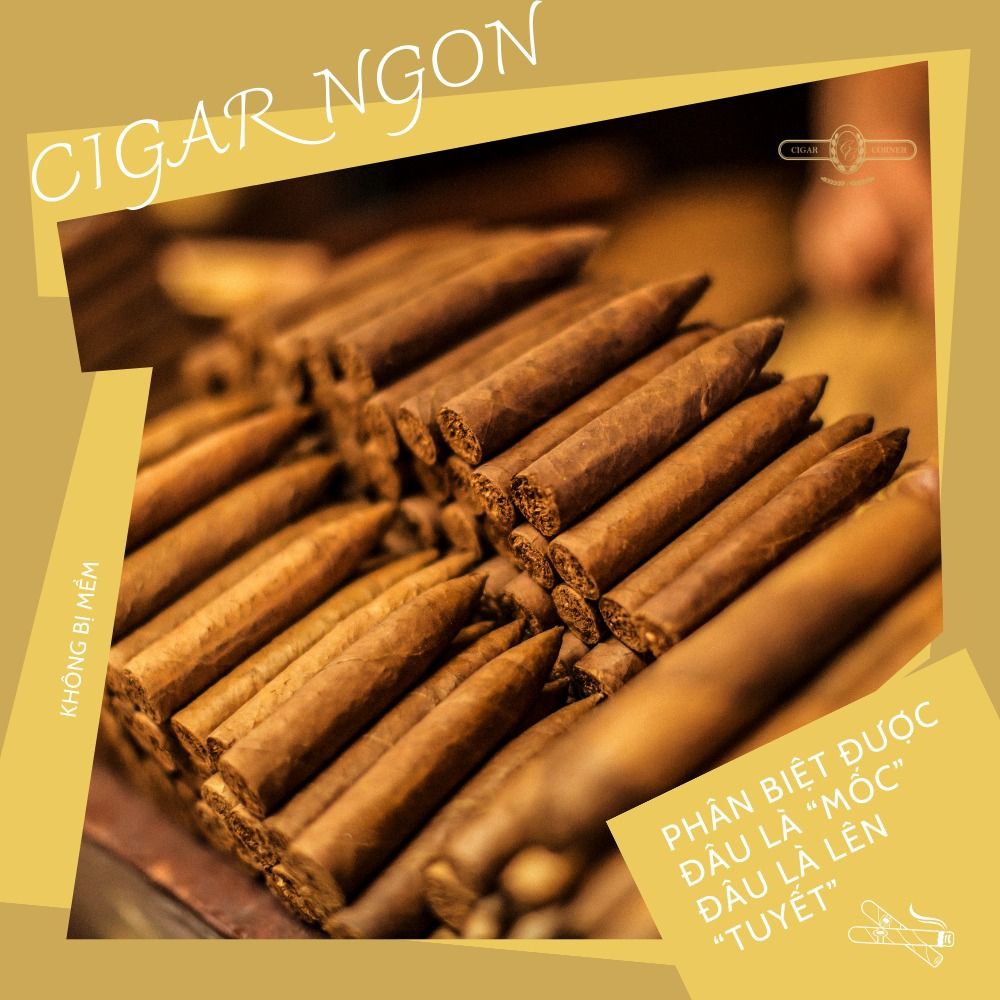 MUỐN NHẬN BIẾT ĐÂU LÀ MỘT ĐIẾU CIGAR NGON, HÃY? – Cigar Corner